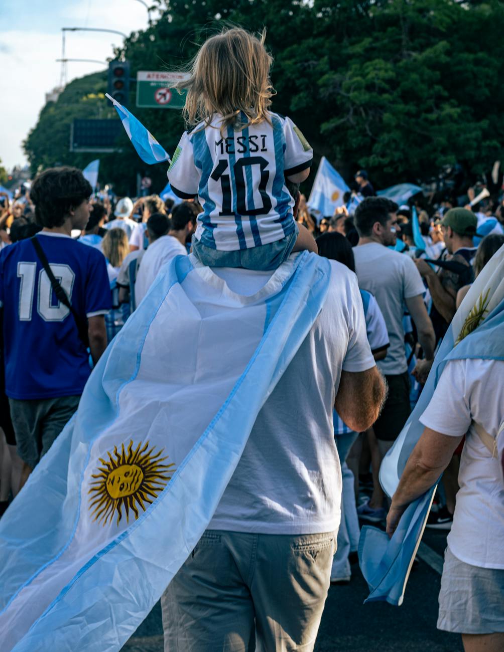 What’s a Mob to a King? World Cup Final Preview - Verities and Vagaries